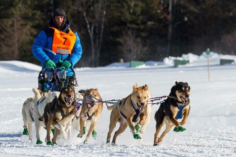 Moosehead Area Wilderness Sled Dog Race 2023
